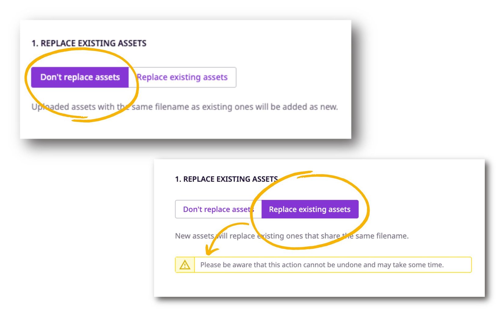 Uploading and Importing Assets